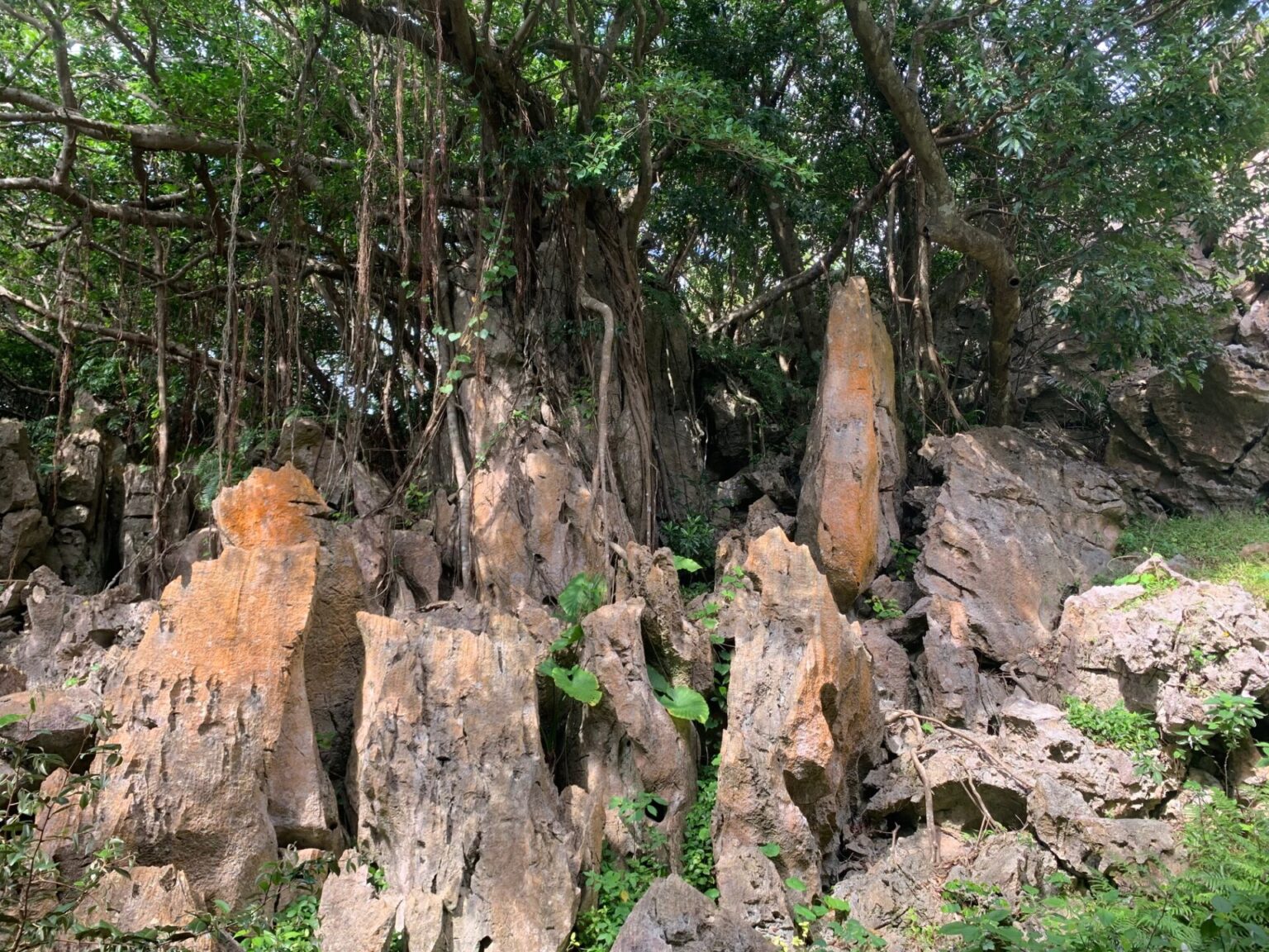 10 Hidden Gems to Visit on Okinawa Main Island | Japan Wonder Travel Blog