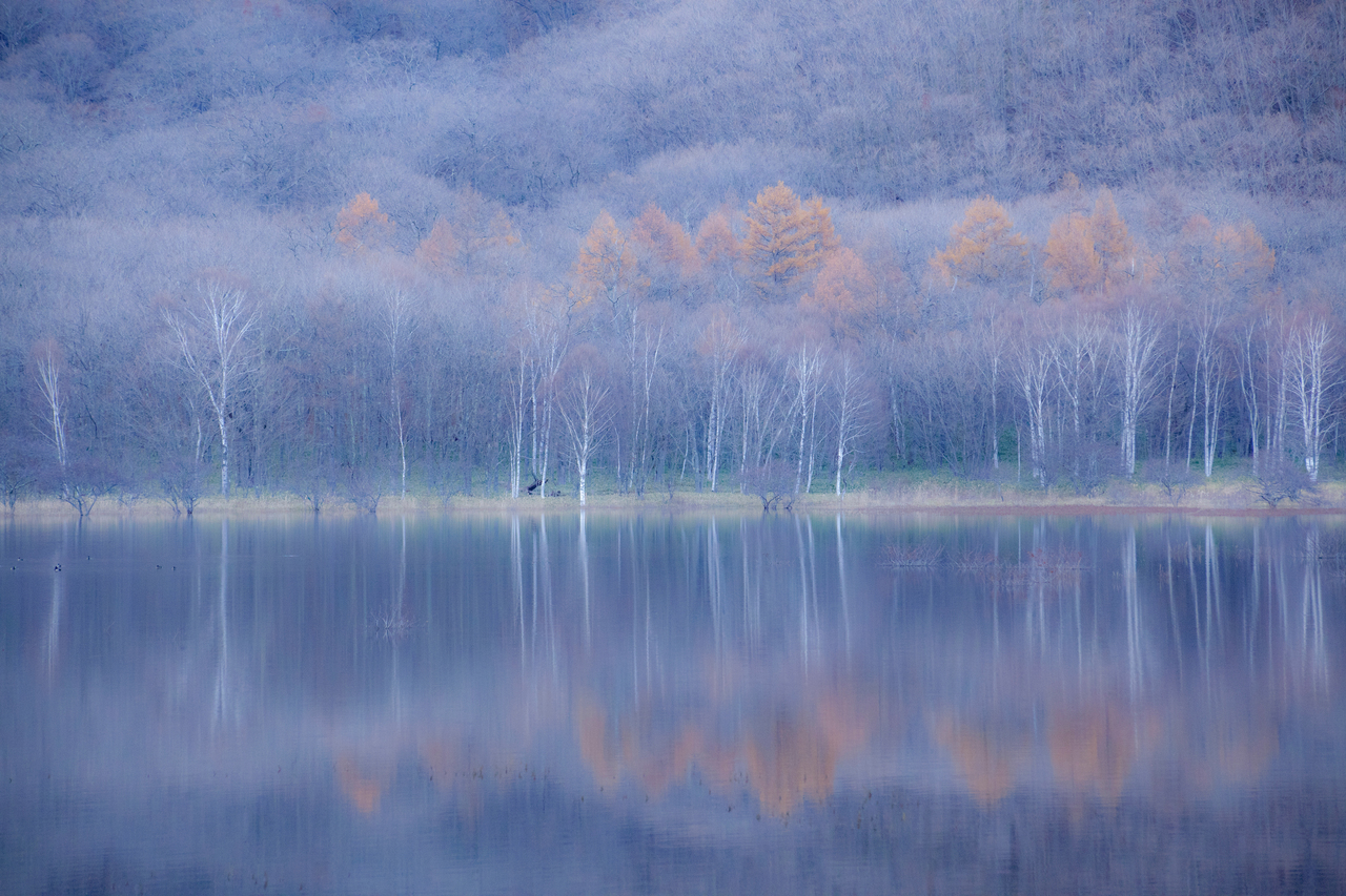 Tochigi: Best Tourist Spots and Things to Do | Japan Wonder Travel Blog