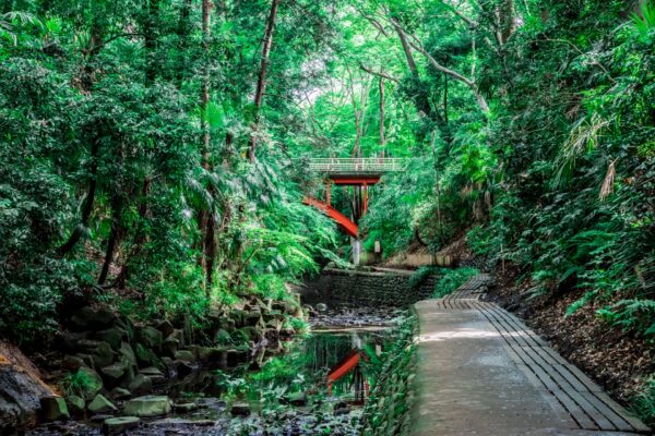 Discover 10 fun things to do in Setagaya – Tokyo’s Trendy District ...