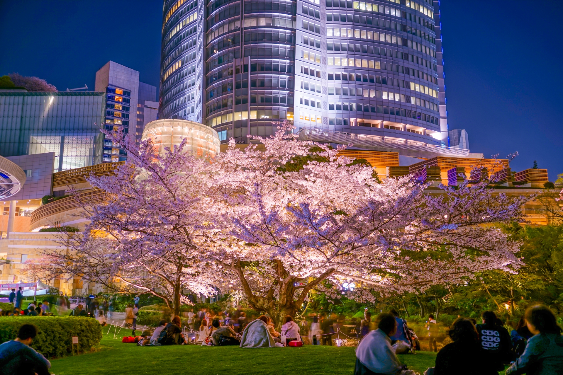 10 Pet Friendly Spots in Tokyo You Can Enjoy With Your Dog | Japan ...
