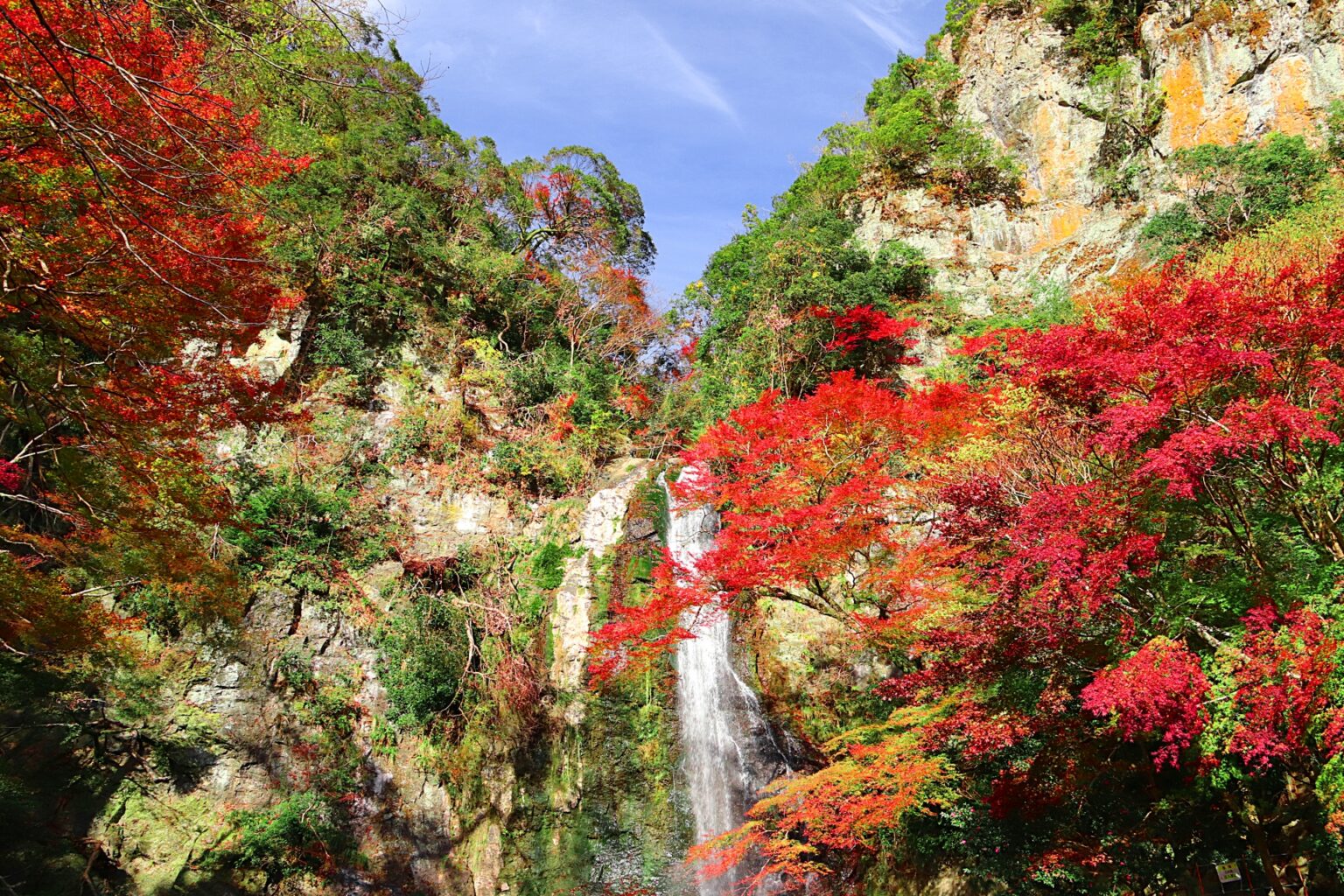 10 Best Nature Spots in Osaka | Japan Wonder Travel Blog