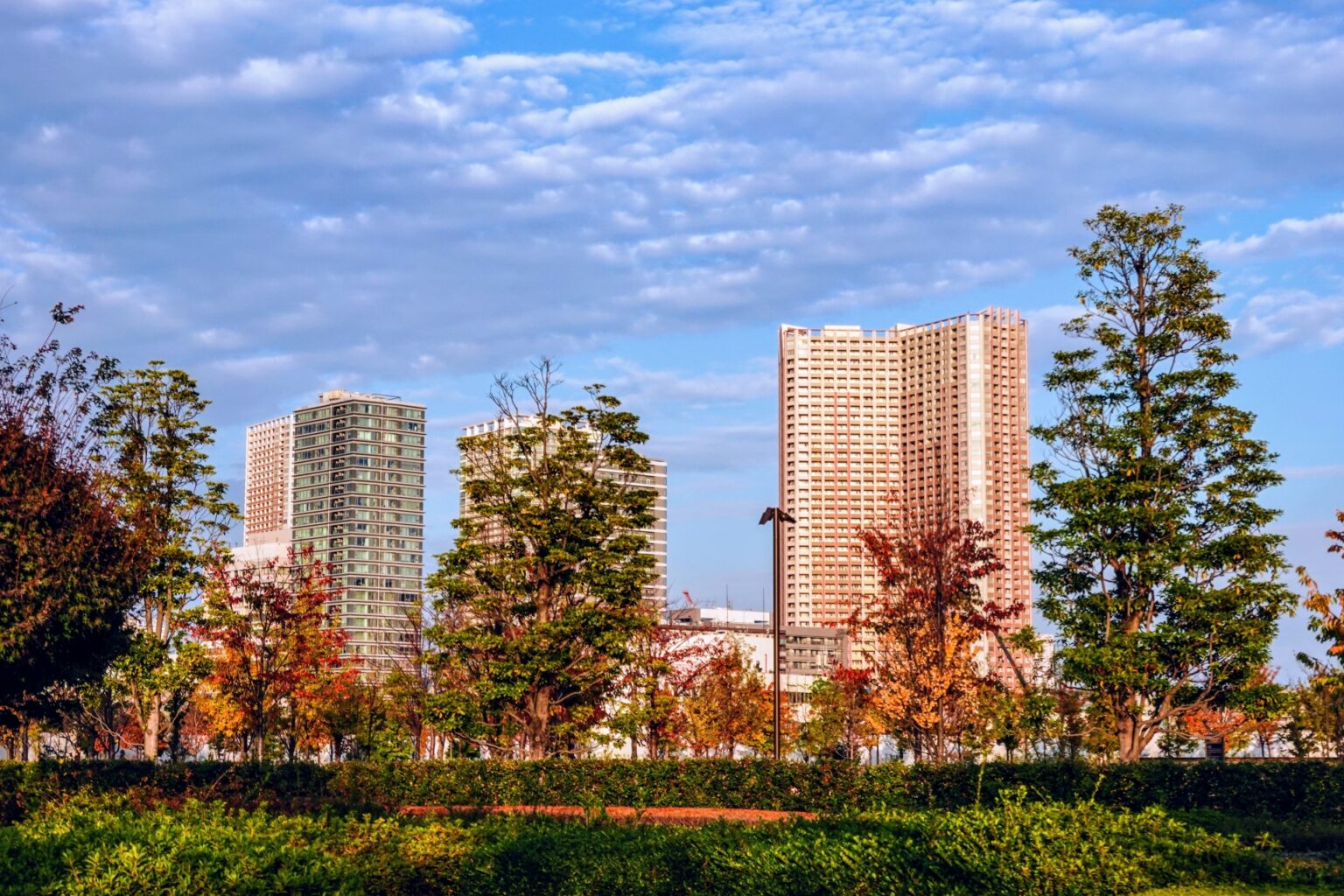 10 Pet Friendly Spots in Tokyo You Can Enjoy With Your Dog | Japan ...