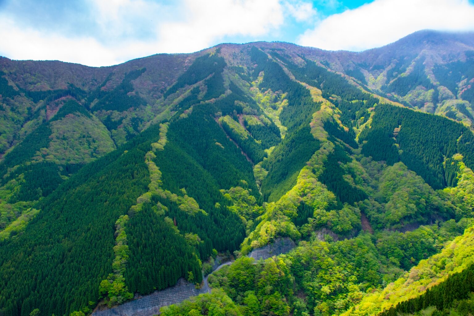 12 Beautiful Destinations For Camping in Japan | Japan Wonder Travel Blog