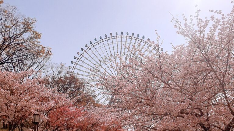 10 Nature Spots in Osaka | Japan Wonder Travel Blog