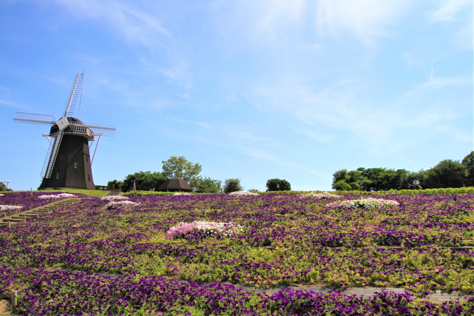 10 Best Nature Spots in Osaka | Japan Wonder Travel Blog