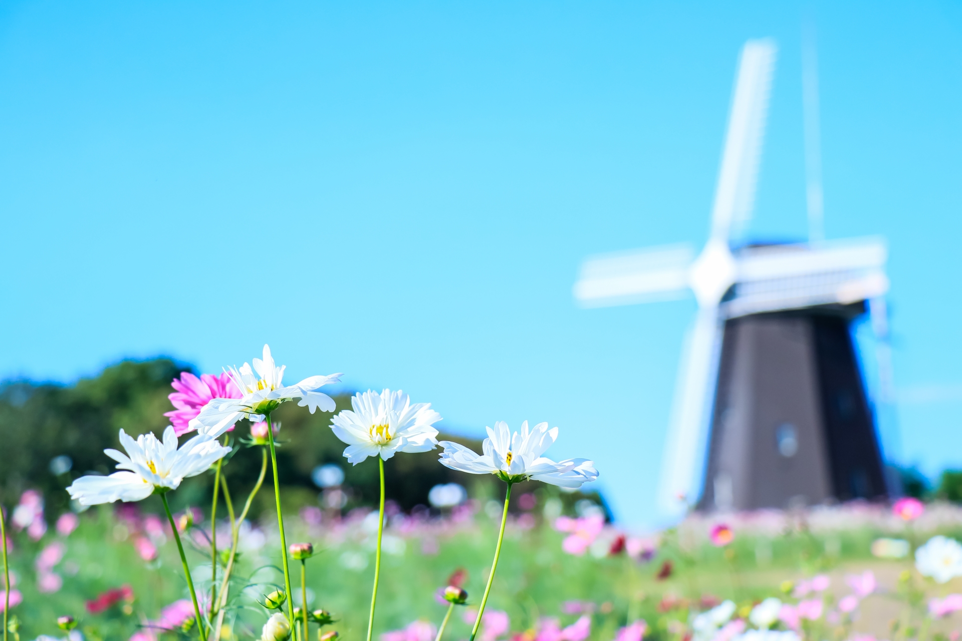 10 Best Nature Spots in Osaka | Japan Wonder Travel Blog