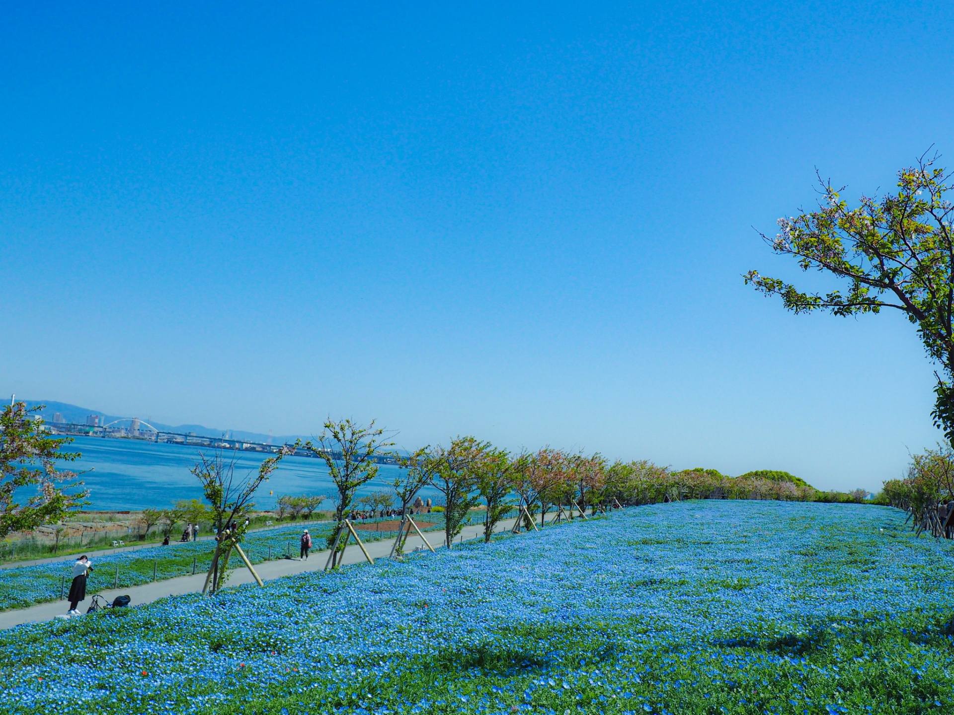 10 Best Nature Spots in Osaka | Japan Wonder Travel Blog