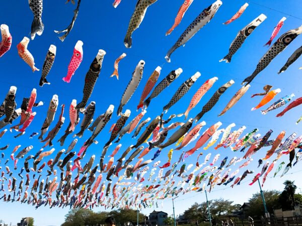 10 Best Nature Spots in Osaka | Japan Wonder Travel Blog