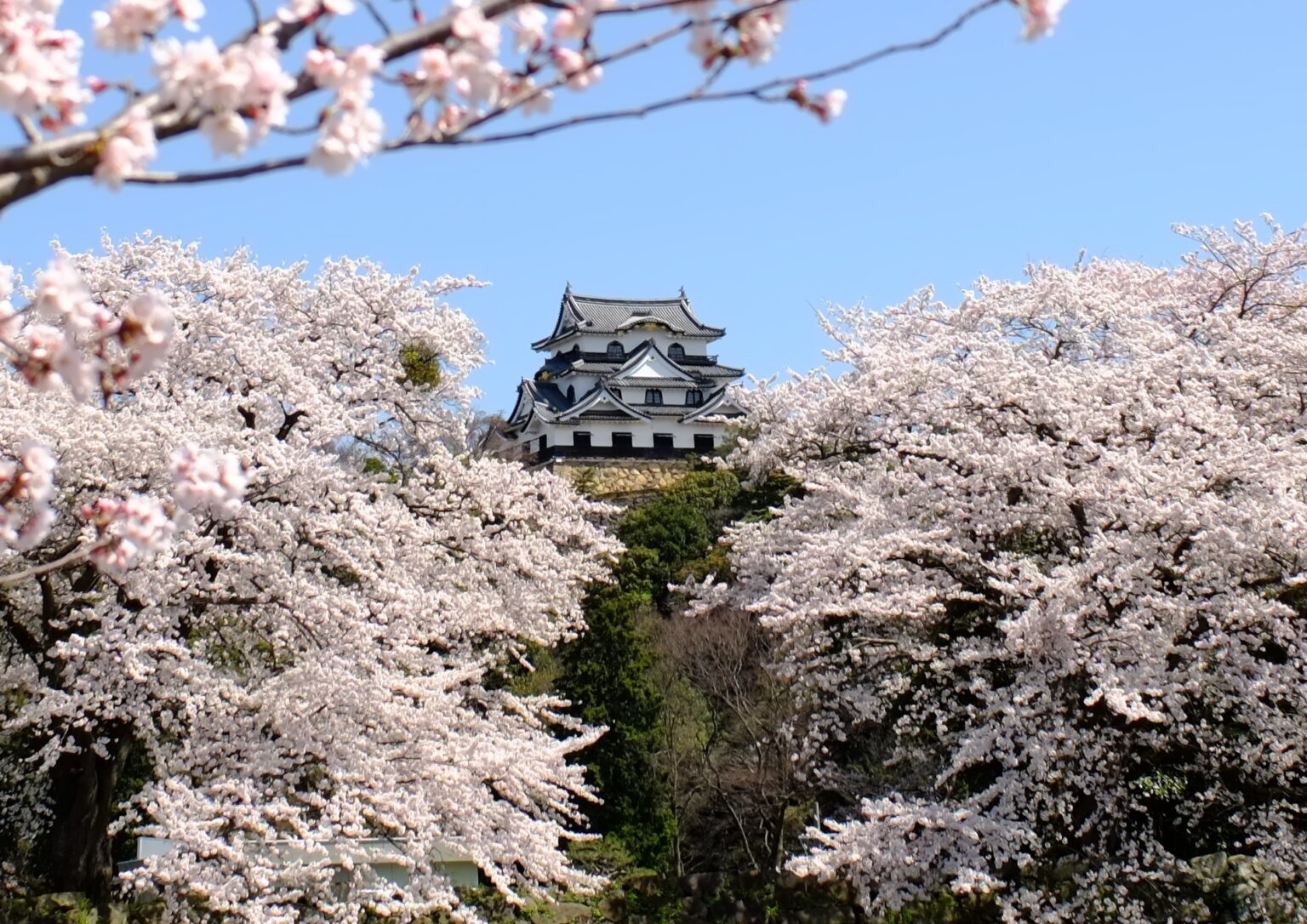 12 Original Castles in Japan that Survived Turbulent Times | Japan ...