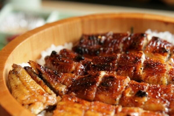 What is Unagi? Japan’s famous Eel Dish | Japan Wonder Travel Blog