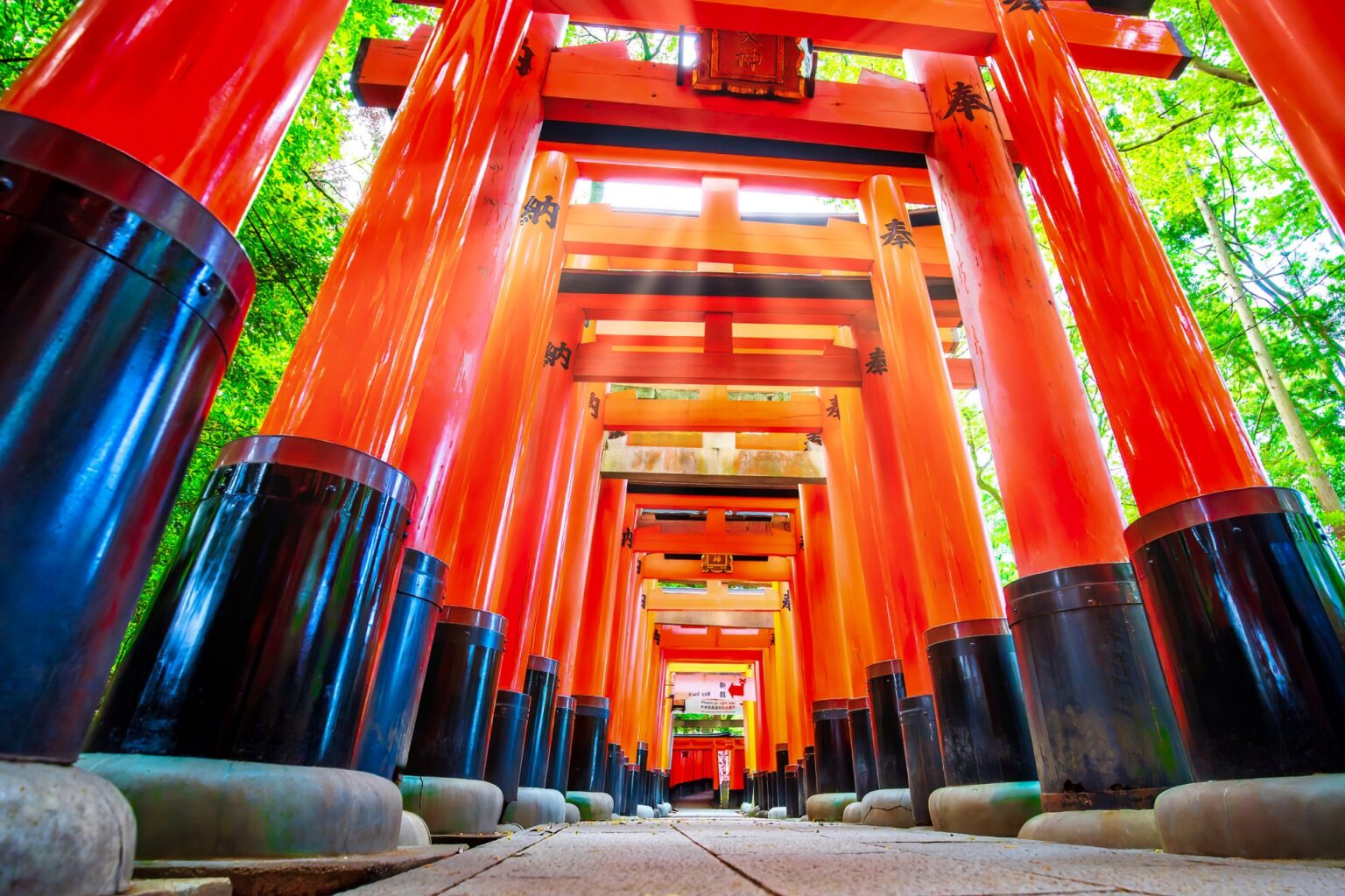 25 Reasons Why You Should Visit Japan | Japan Wonder Travel Blog