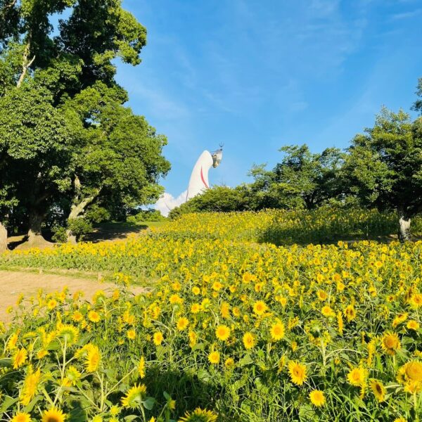 10 Best Nature Spots in Osaka | Japan Wonder Travel Blog