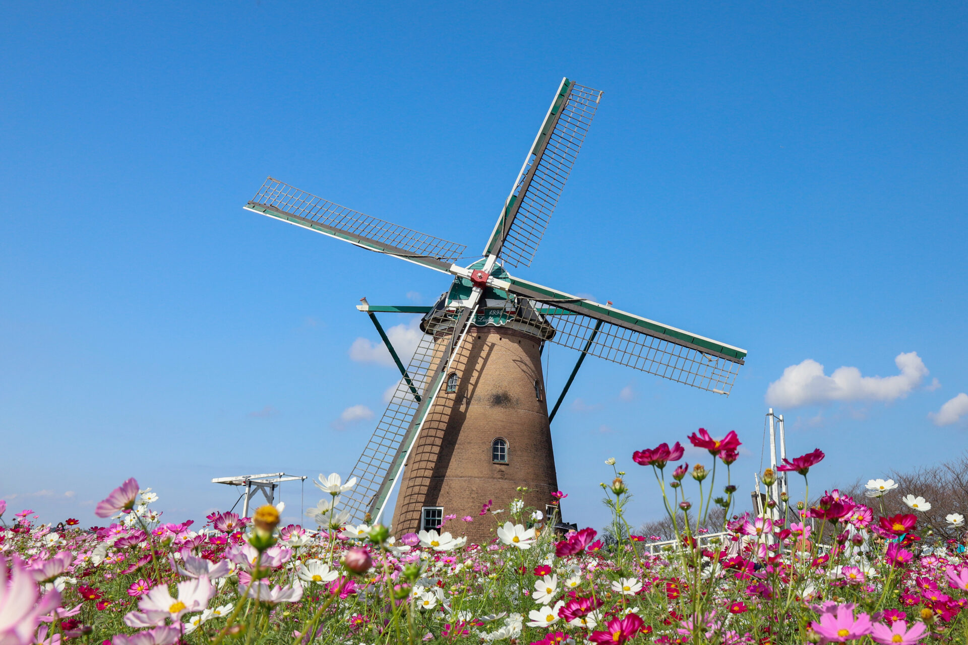 10 Flower Festivals near Tokyo April-May 2022 | Japan Wonder Travel Blog