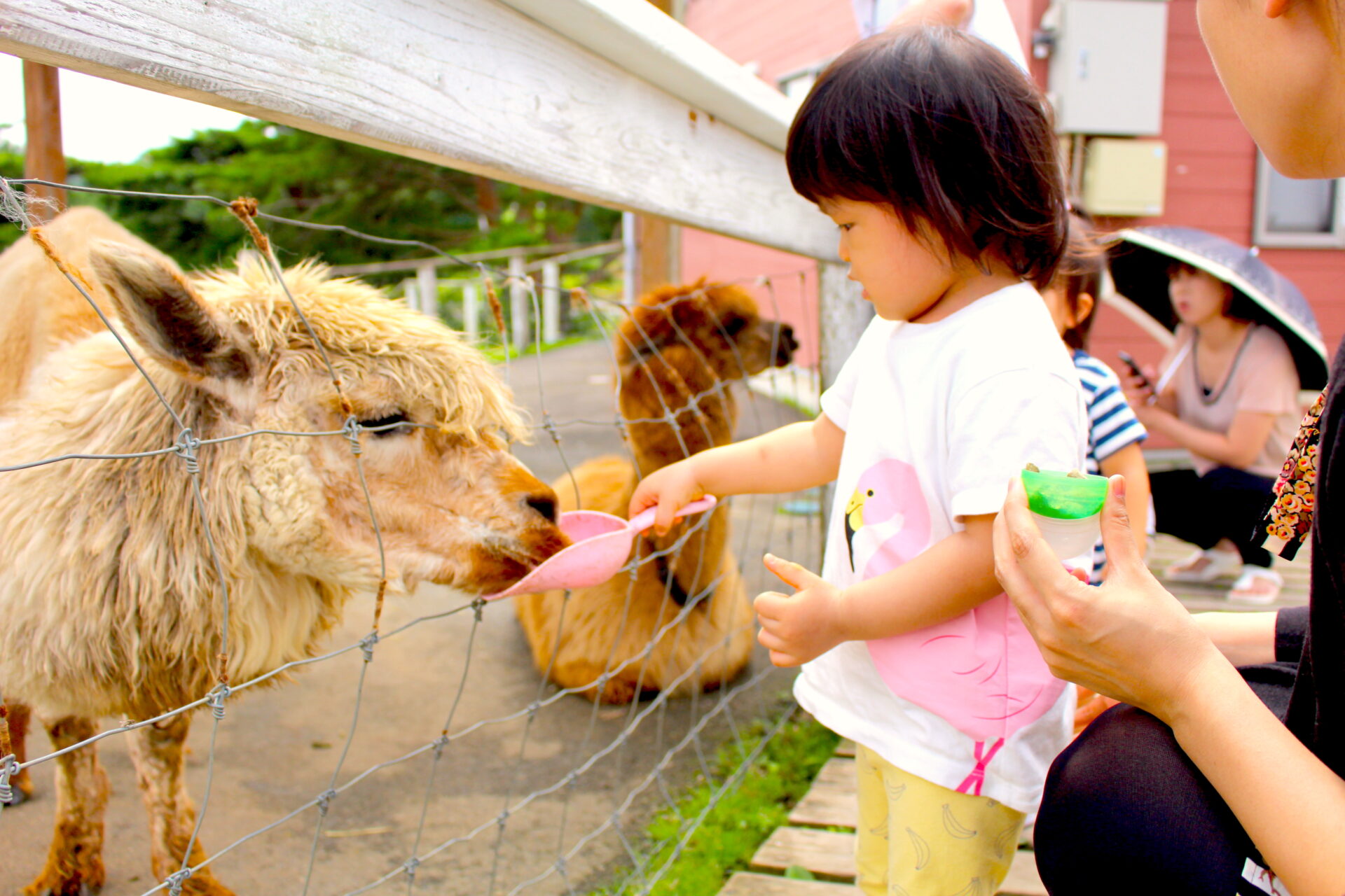 10 Best Zoos in and near Tokyo | Japan Wonder Travel Blog