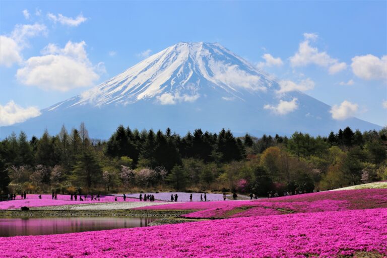 20 Best Spring Destinations in Japan 2024 | Japan Wonder Travel Blog
