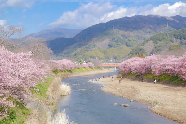 20 Best Spring Destinations in Japan 2024 | Japan Wonder Travel Blog