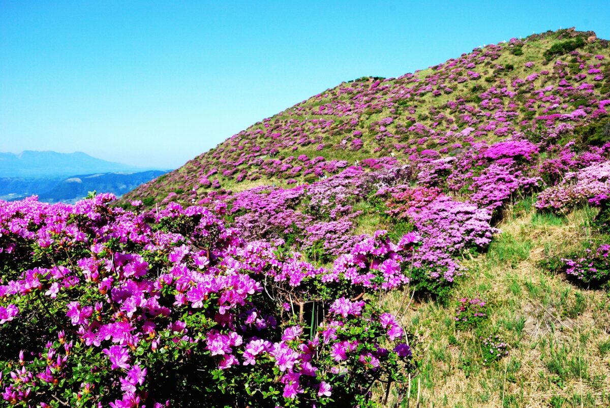 20 Places to Visit for Nature Lovers in Japan | Japan Wonder Travel Blog