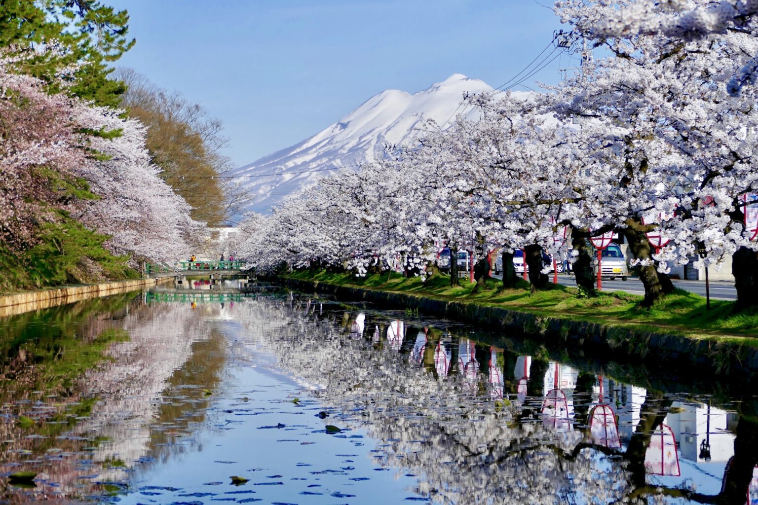 15 Spring Festivals in Japan 2025 | Japan Wonder Travel Blog