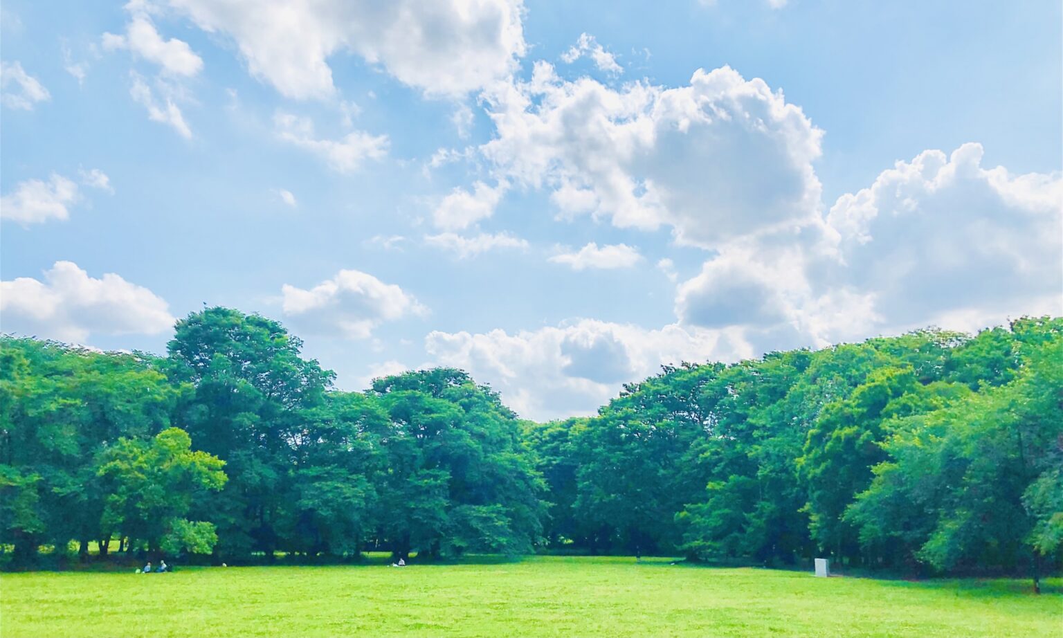 Interesting Japanese Seasonal Words for Spring | Japan Wonder Travel Blog