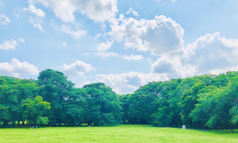 Interesting Japanese Seasonal Words for Spring | Japan Wonder Travel Blog