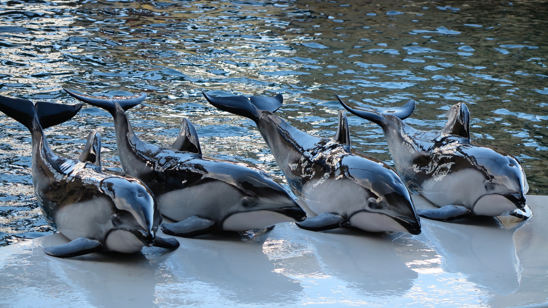 10 Best Day Trips from Kyoto | Japan Wonder Travel Blog