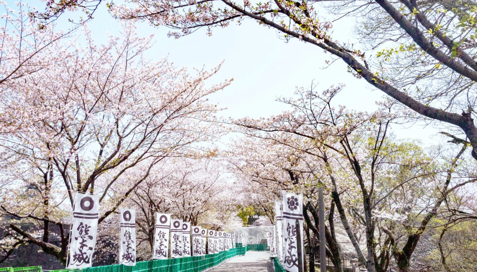 The 26 Best Cherry Blossom Viewing Spots Throughout Japan 2022 | Japan Wonder Travel Blog