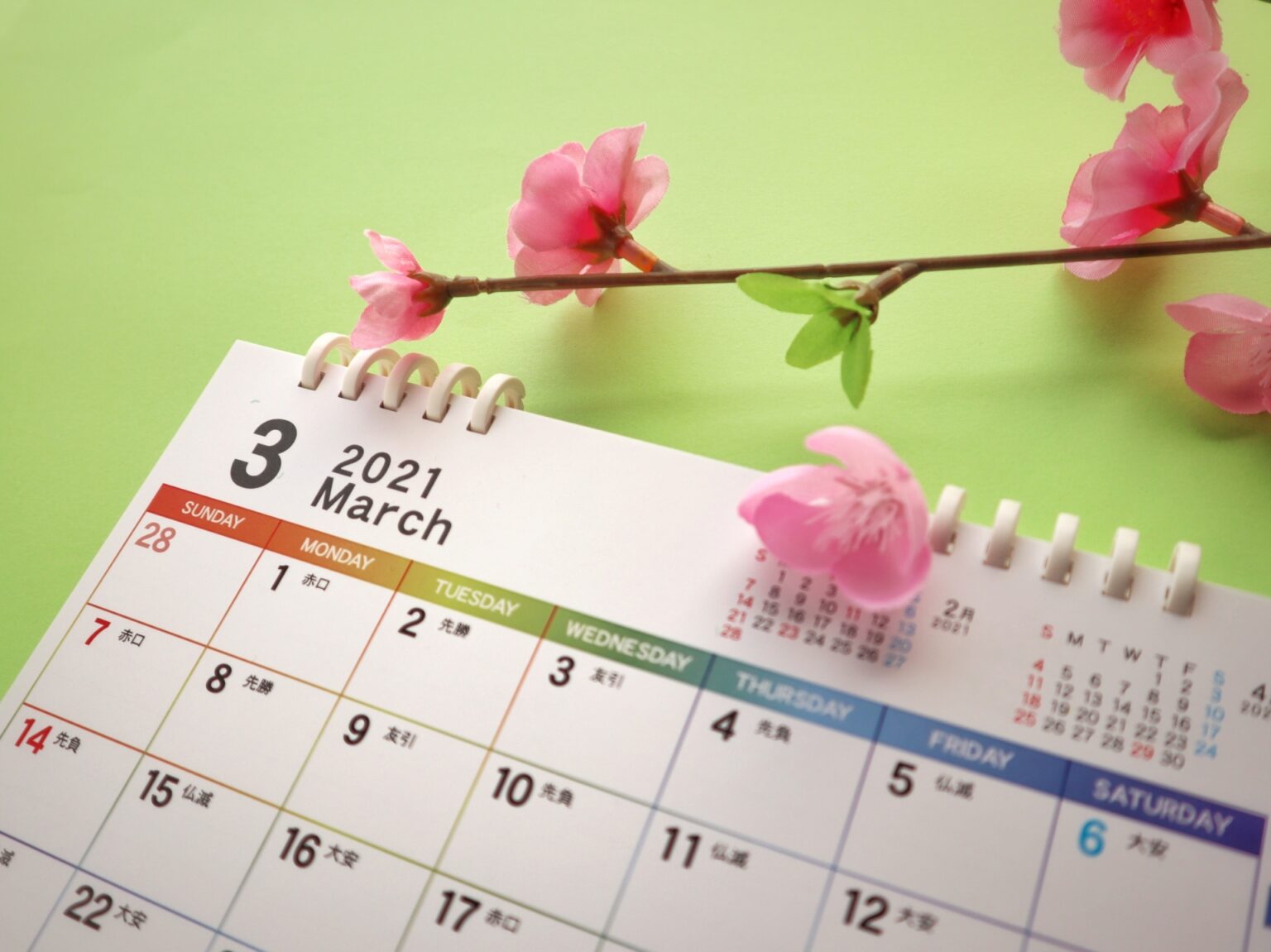 Interesting Japanese Seasonal Words for Spring | Japan Wonder Travel Blog