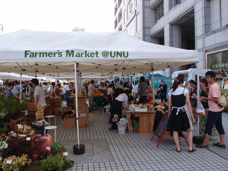 10 Great Markets in Tokyo that You Should Visit | Japan Wonder Travel Blog