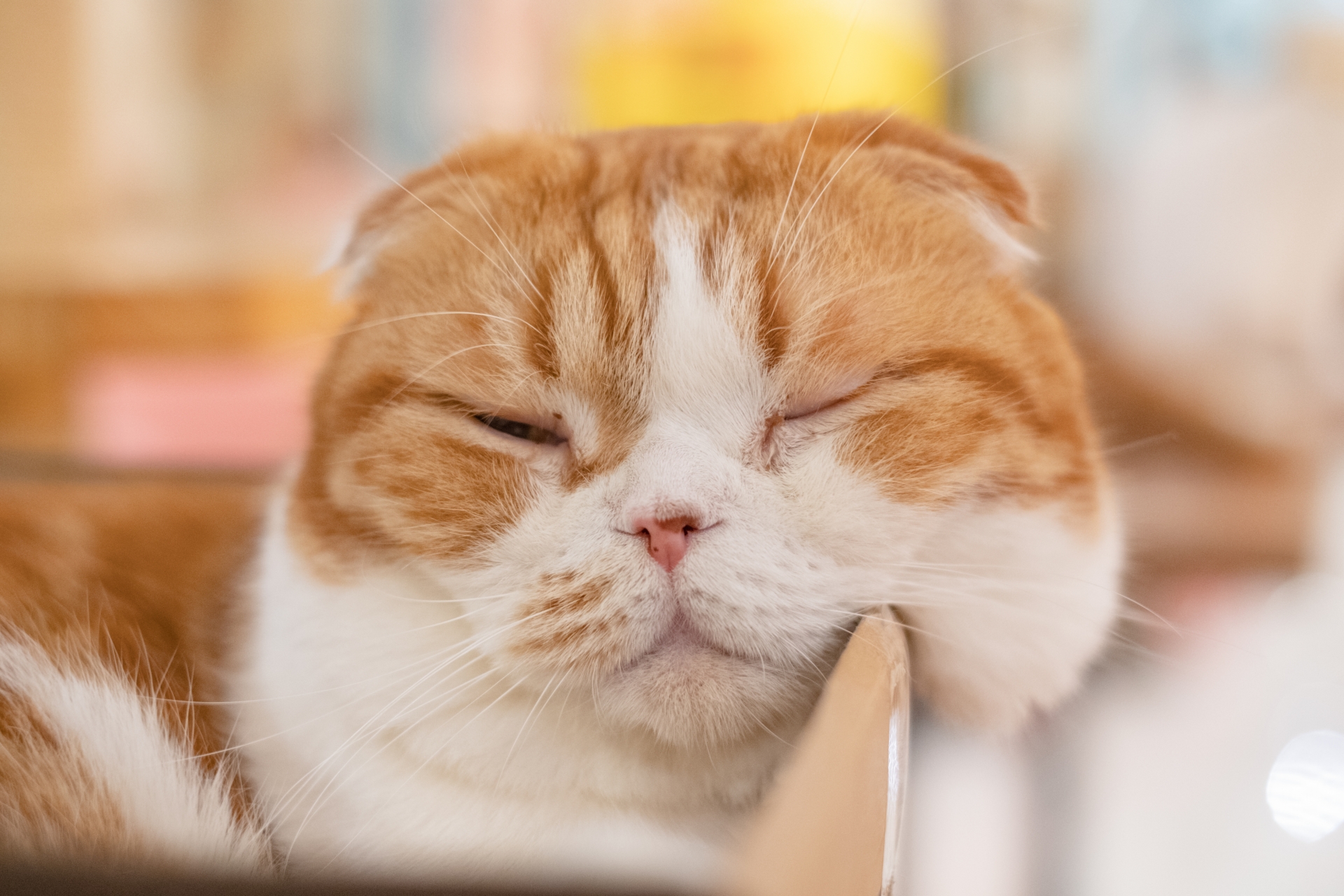 10 Japanese Words for Describing Personalities | Japan Wonder Travel Blog