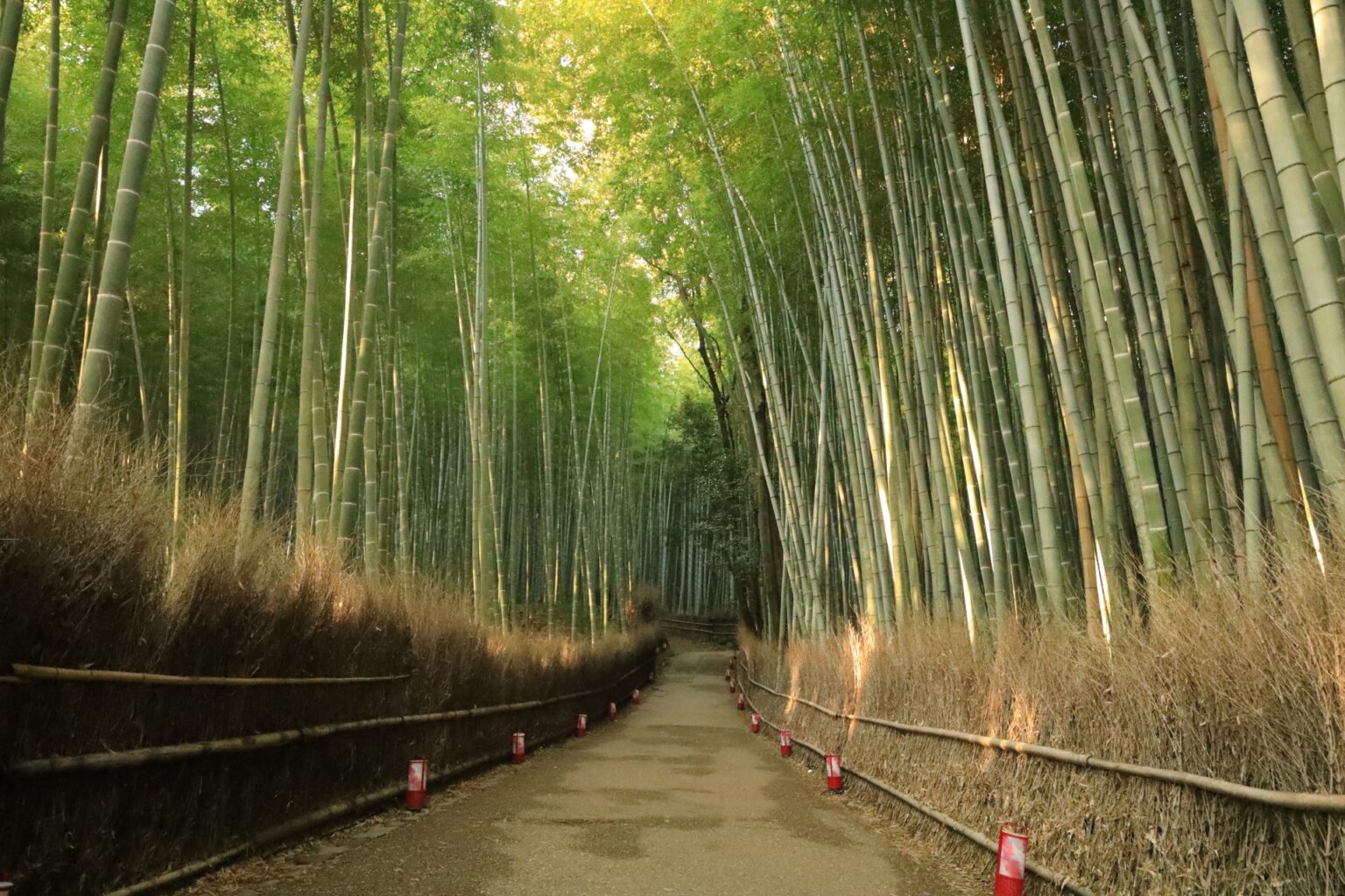 Things to do in Kyoto: The Ultimate 2-day Itinerary | Japan Wonder ...