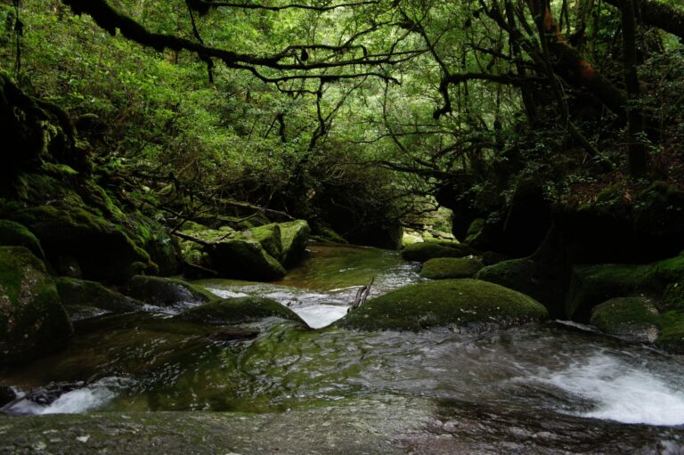 10 Perfect Honeymoon Destinations In Japan Japan Wonder Travel Blog