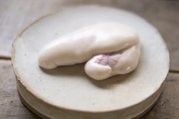 10 of the most Unusual Japanese Foods | Japan Wonder Travel Blog