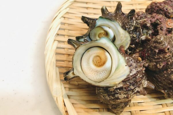 10 of the most Unusual Japanese Foods | Japan Wonder Travel Blog