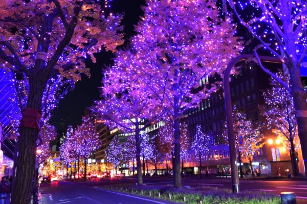 10 Events and things to do in Japan in December | Japan Wonder Travel Blog