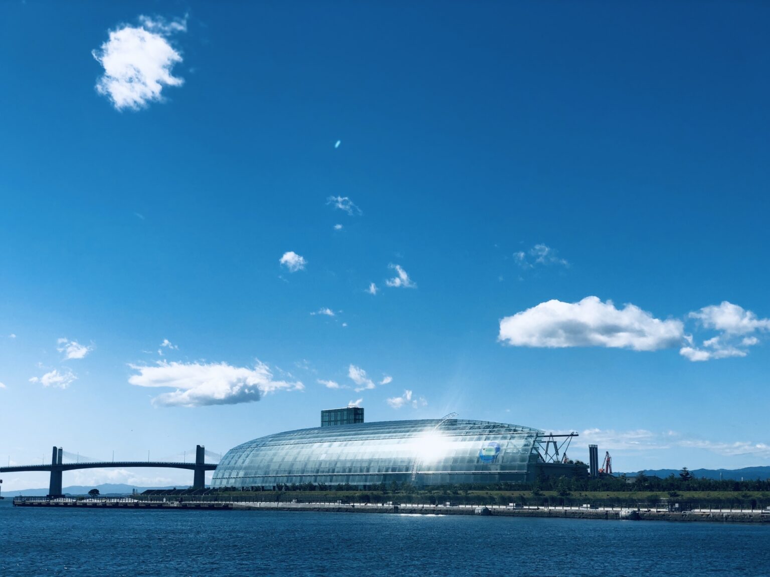 11 Best Aquariums in Japan | Japan Wonder Travel Blog