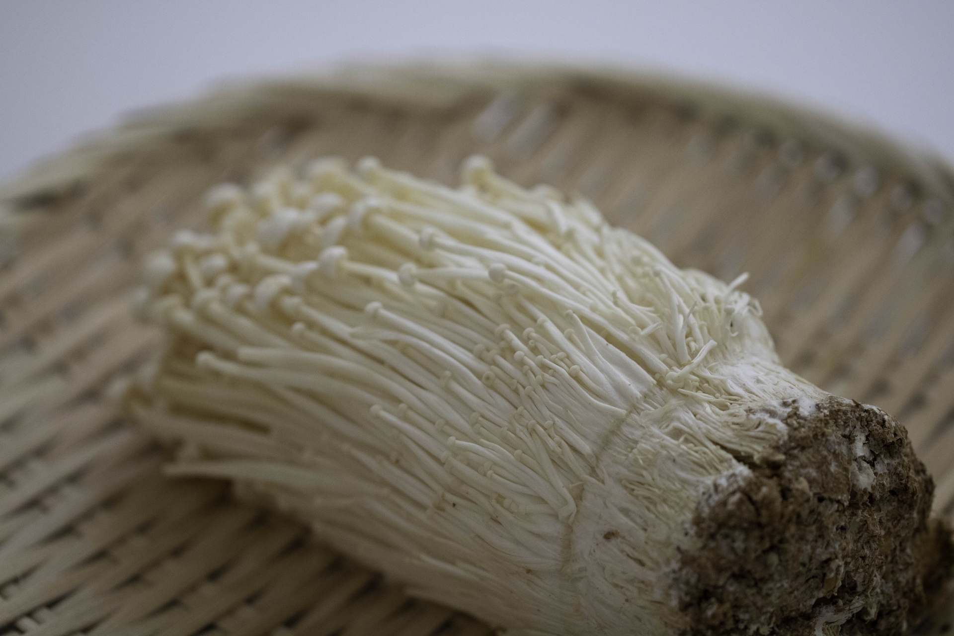 10 Popular Edible Mushrooms in Japan | Japan Wonder Travel Blog