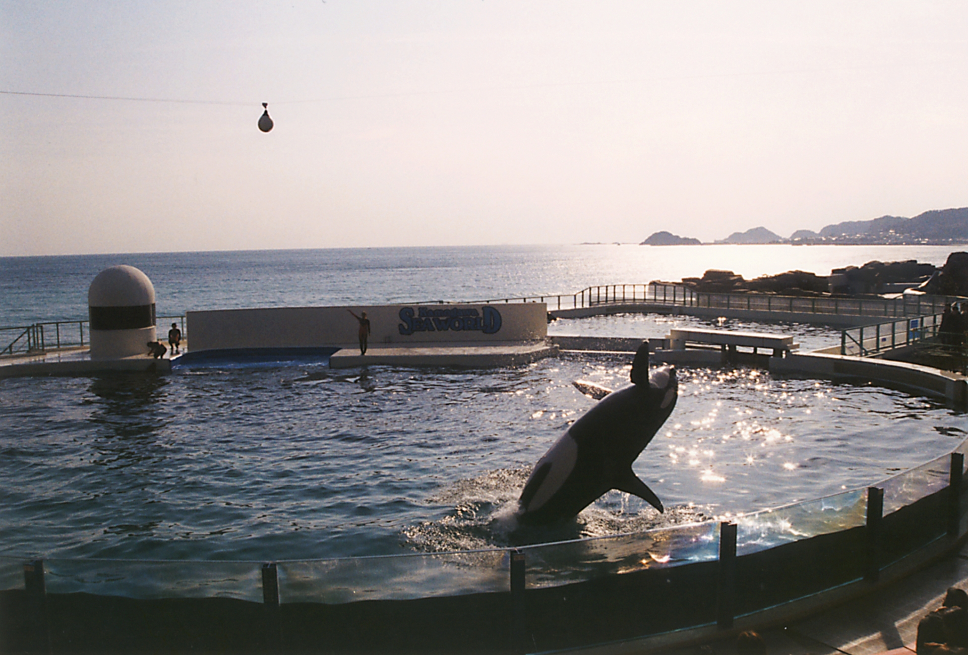 11 Must-Visit Aquariums in Japan | Japan Wonder Travel Blog