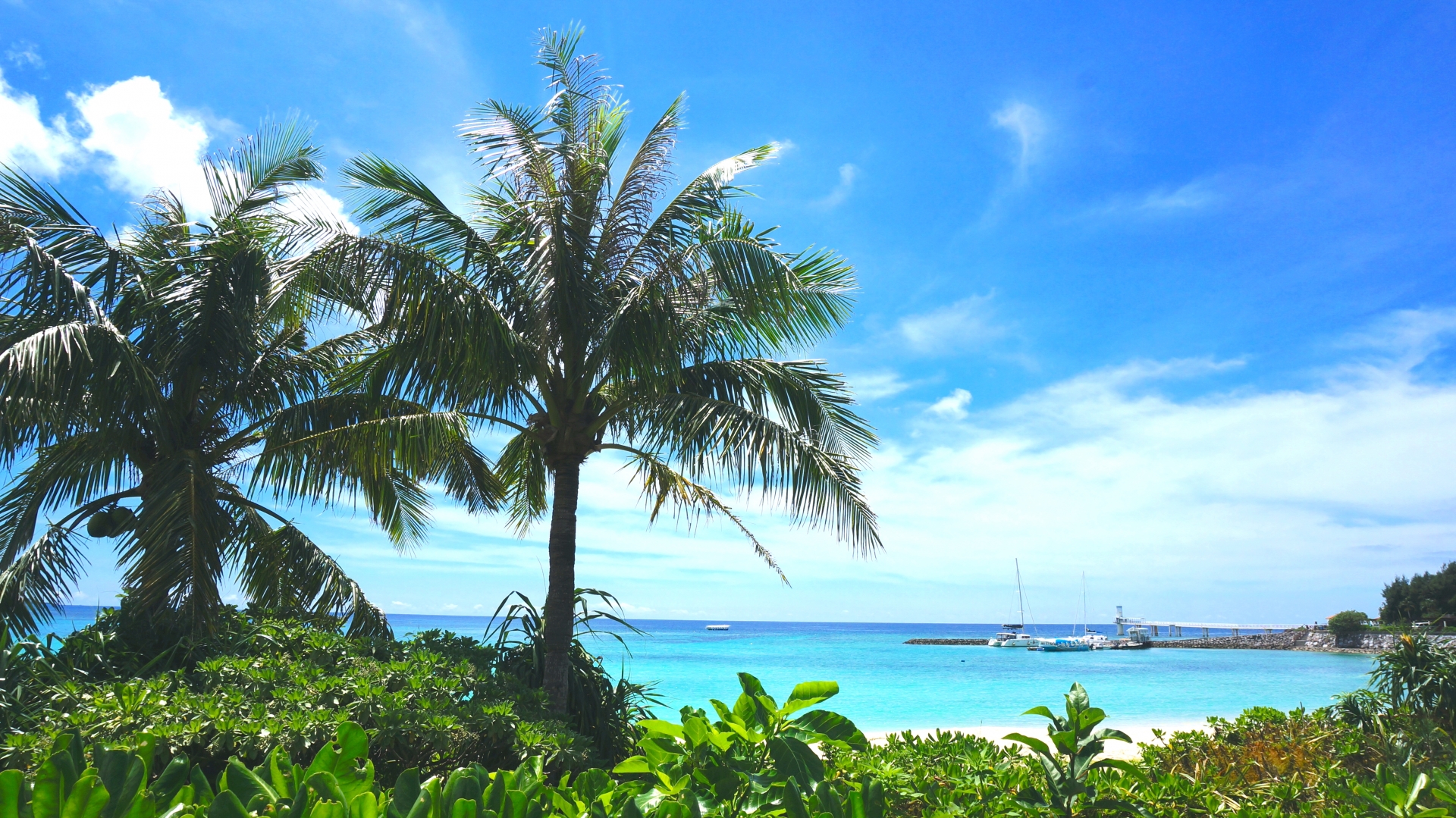 Best Things to Do and Places to Go in Okinawa: The Complete Guide ...