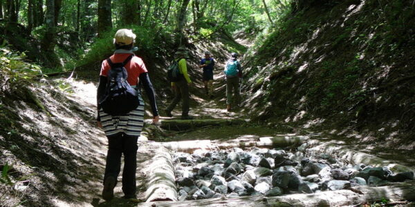 6 Popular Multi-Day Hikes in Japan | Japan Wonder Travel Blog