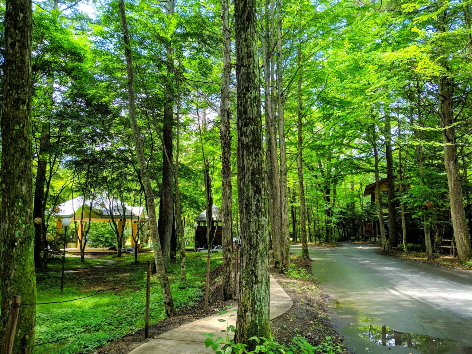 7-Day Hokuriku Arch Pass Itinerary (Tokyo to Osaka) | Japan Wonder ...