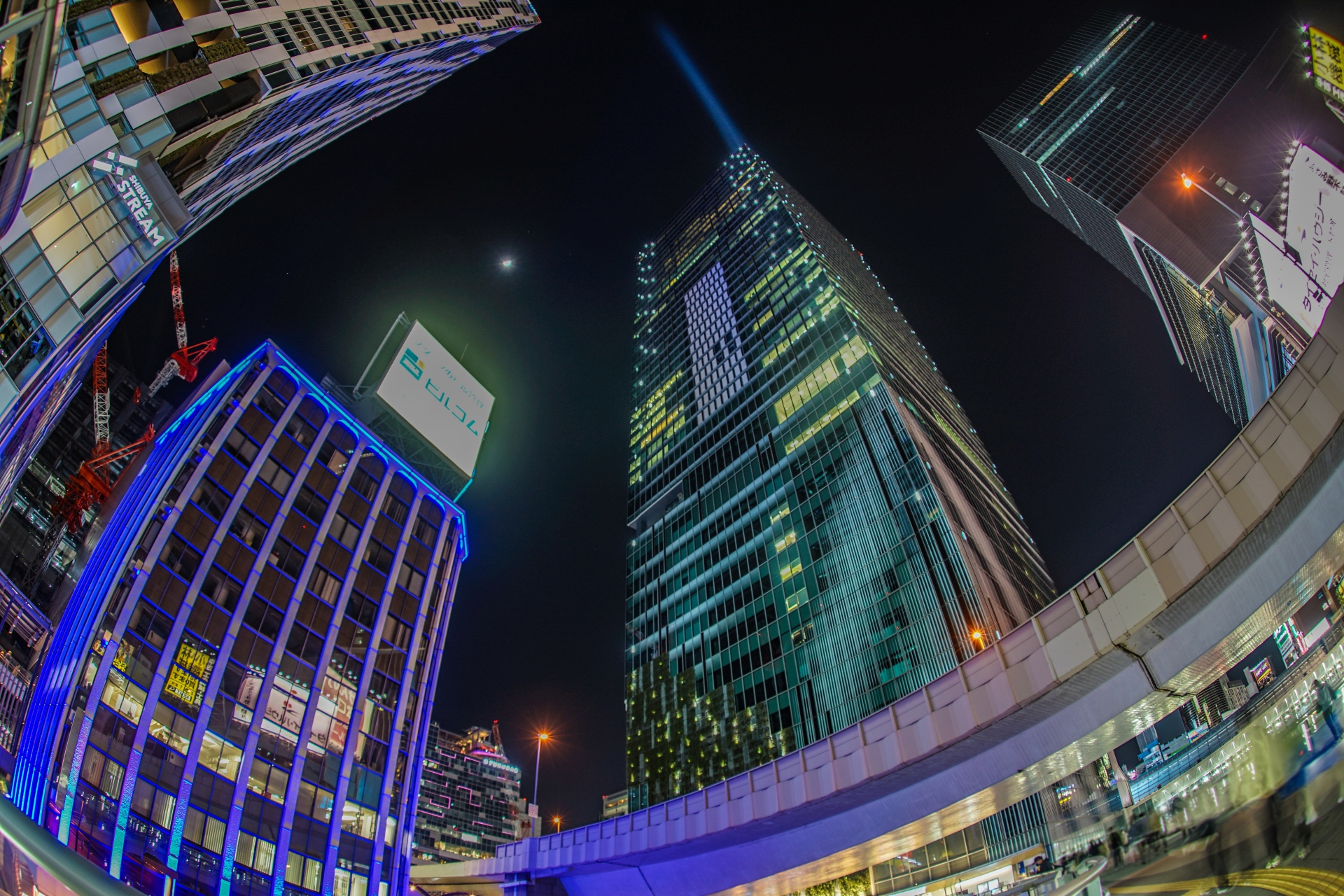 10 Exciting Things to Do in Shibuya Center-Gai | Japan Wonder Travel Blog