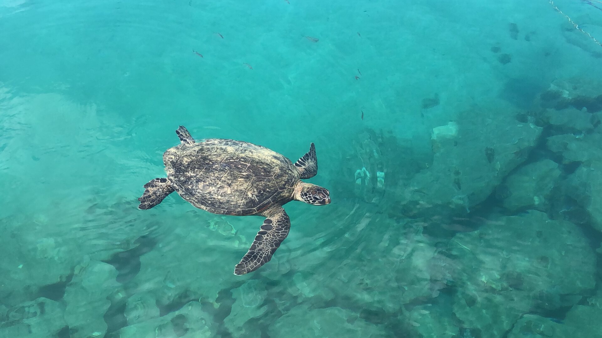 10 Best Snorkeling Spots in Japan | Japan Wonder Travel Blog