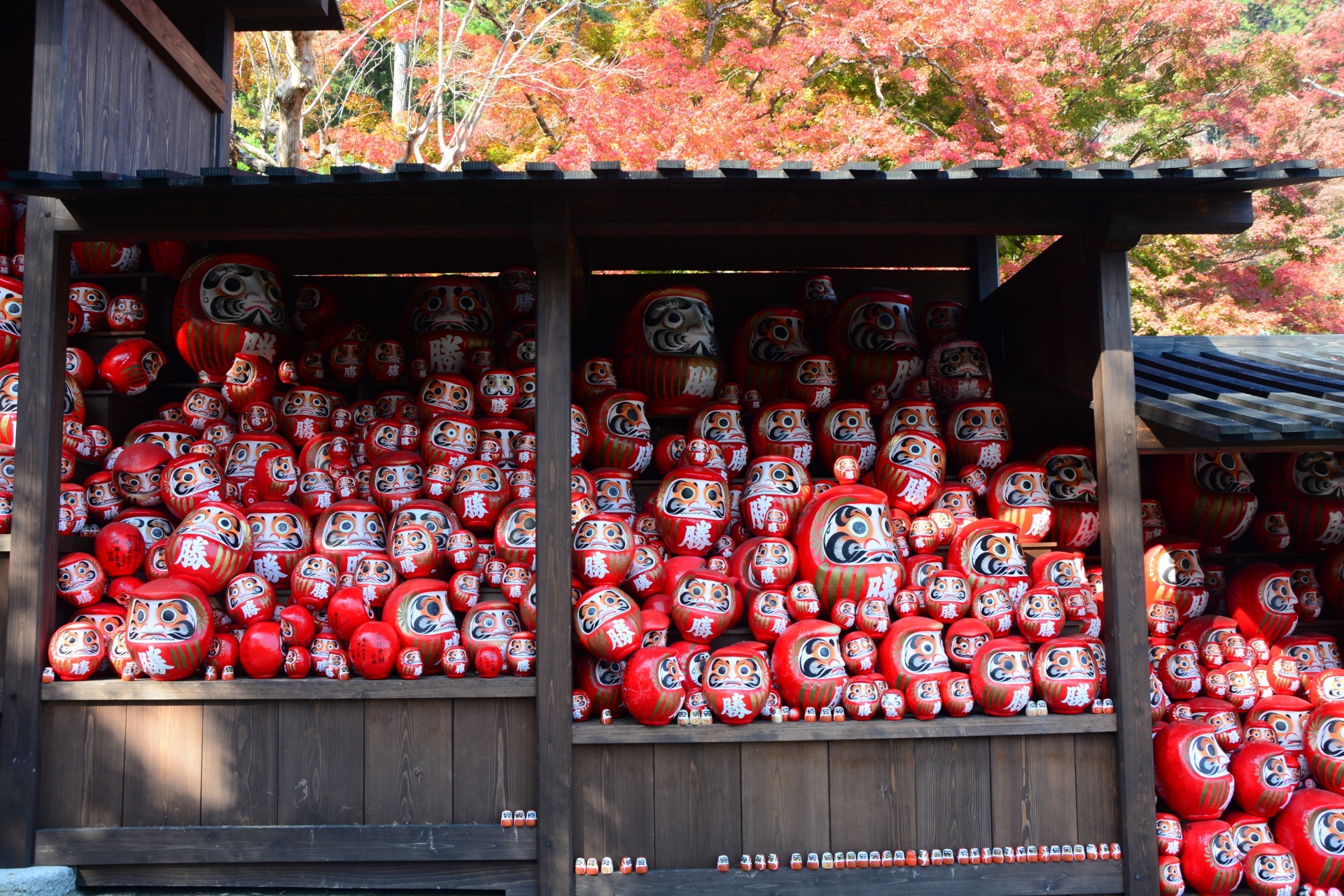 What are Daruma? | Japan Wonder Travel Blog