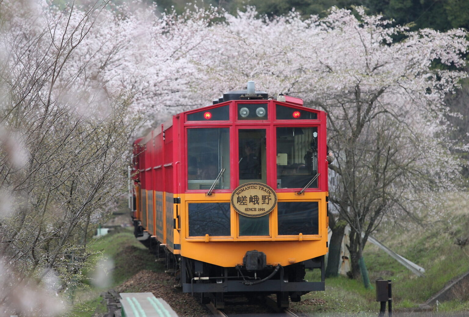 10 Things to Do in Kyoto in Spring | Japan Wonder Travel Blog