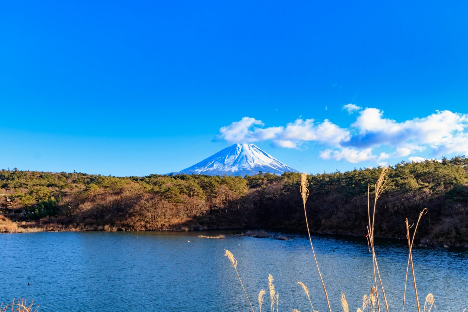 Our Guide to The Fuji Five Lakes | Japan Wonder Travel Blog