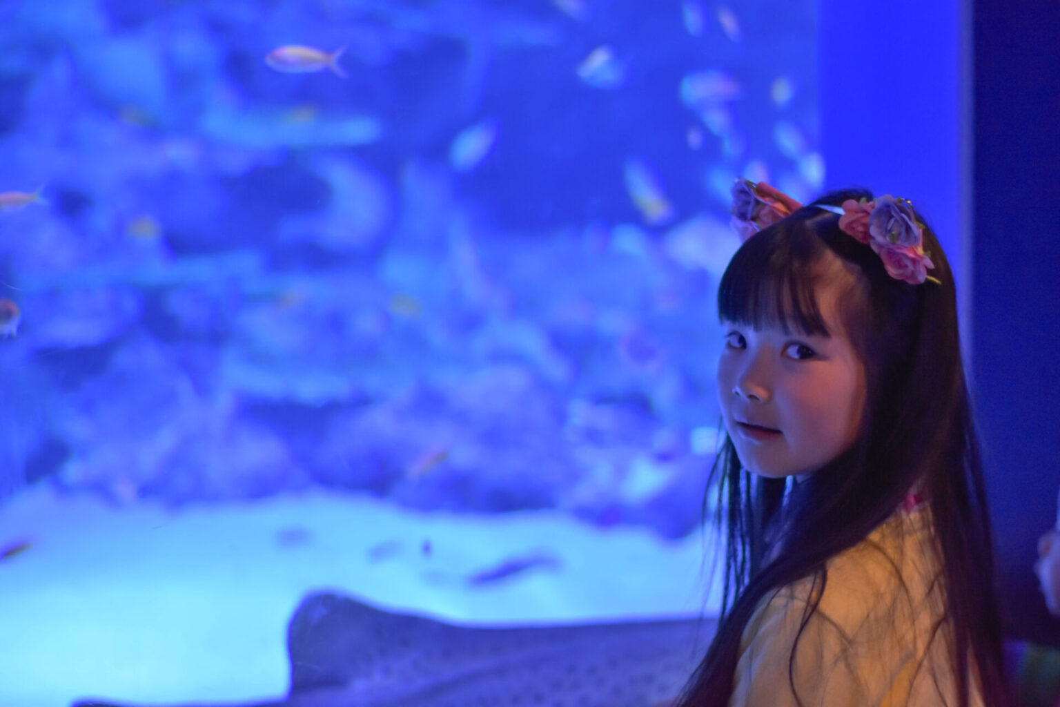 9 Best Things to Do in Shinagawa | Japan Wonder Travel Blog