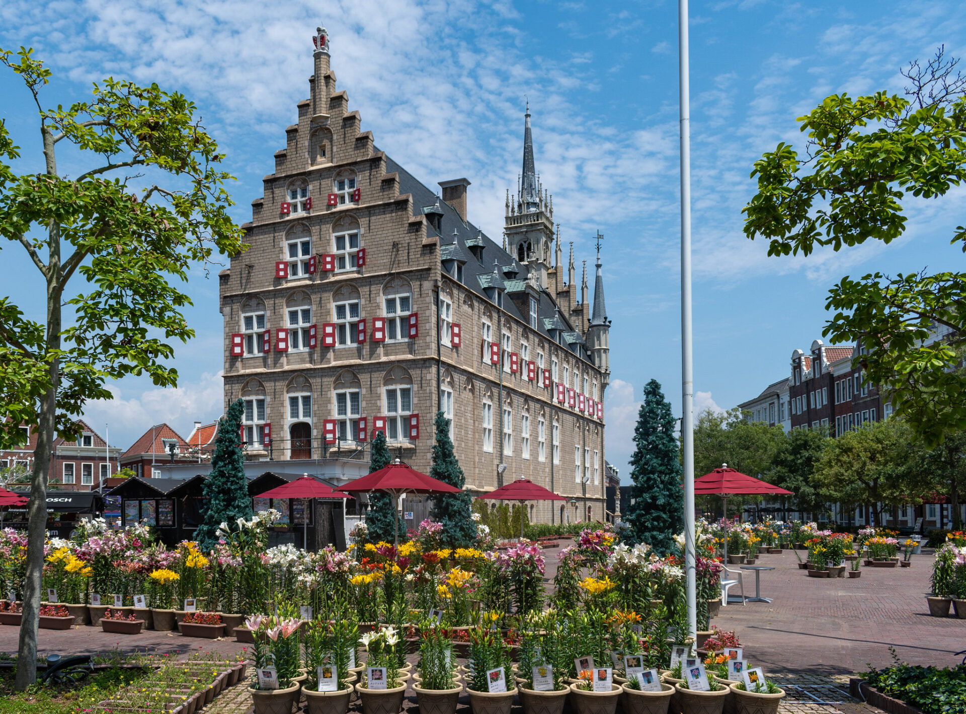 10 Events and Things to do in Japan in October 2022 | Japan Wonder ...