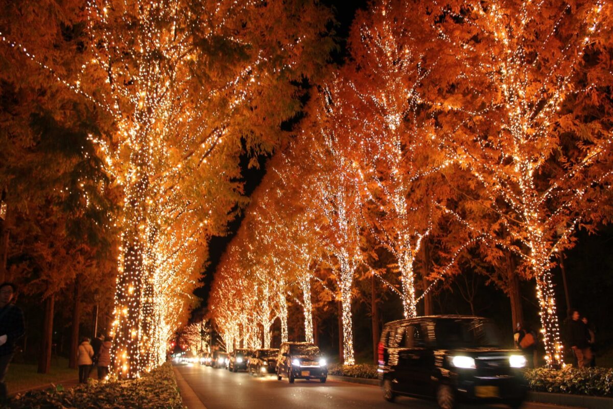 10 Best Winter Illuminations in Kansai 2023-2024 | Japan Wonder Travel Blog