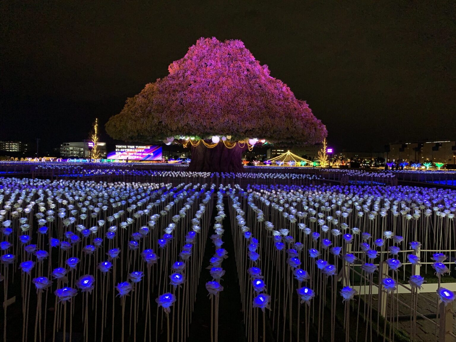 17 Best Christmas and Winter Illuminations in Tokyo 2023-2024 | Japan ...