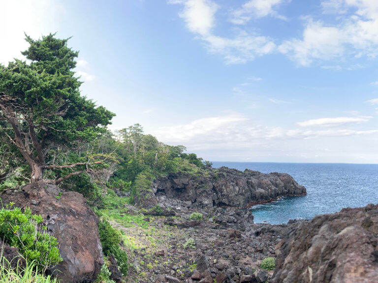 Weekend Trip to The Izu Peninsula in Shizuoka | Japan Wonder Travel Blog